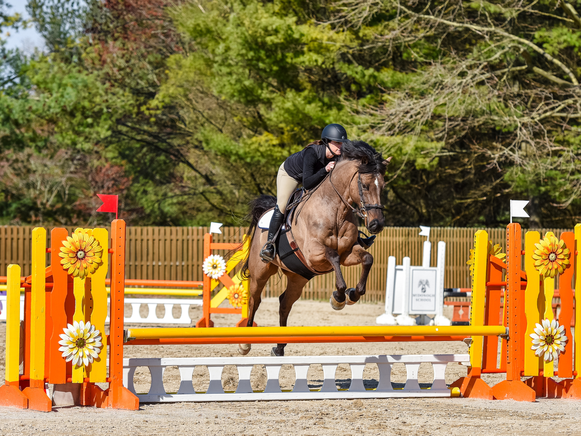 I'm Having a Hard Time Returning to the Hunters – URGO Beauty